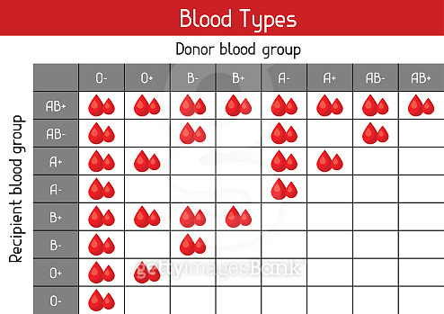 Chart of blood types in drops. Medical and healthcare infographic 이미지 ...