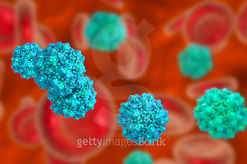 Parvovirus in blood with red blood cells 이미지 (672459492) - 게티이미지뱅크