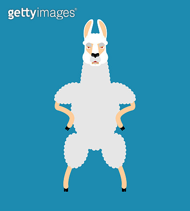 Lama Alpaca angry. Animal evil emoji. Vector illustration (873768472 ...