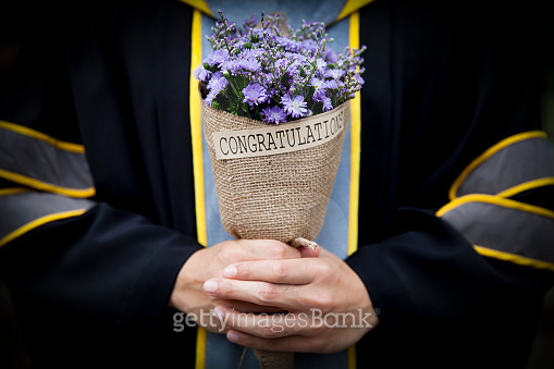 violet flowers for congratulation, university graduated 이미지 (644013464 ...
