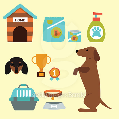 Dachshund dog playing vector illustration elements set flat style puppy ...
