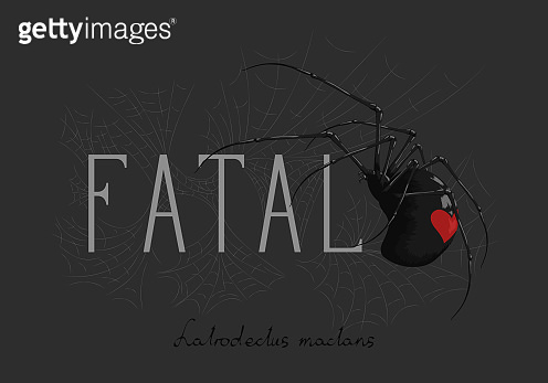 the slogan of the c spider. The inscription in Latin-black widow ...