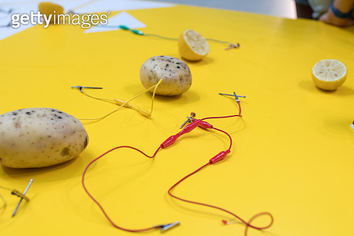 Potato battery STEM activity with potatoes, lemons, alligator clips ...