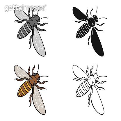 A bee, a hymenopteran insect. Stinging insect bee single icon in ...