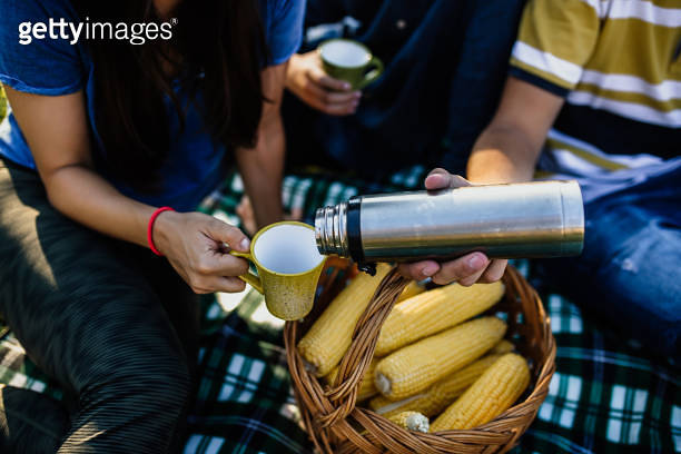 The brothers and sister enjoy nature, bake corn. 이미지 (1020548106) - 게티이미지뱅크