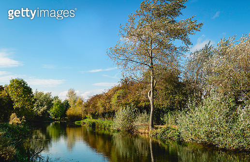 The beck flanked by trees in autumn colours, Beverley, Yorkshire, UK ...