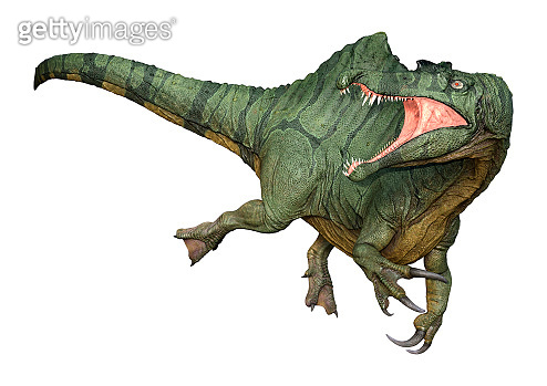 3D illustration green dinosaur Spinosaurus on white (1084443678) - 게티이미지뱅크