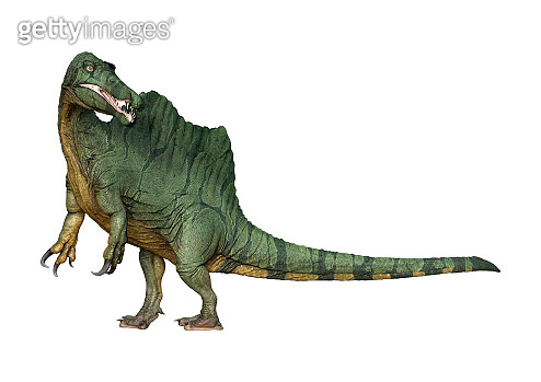 3D illustration green dinosaur Spinosaurus on white (1084443618) - 게티이미지뱅크