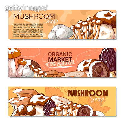 Mushroom banner copy space 이미지 (1010165890) - 게티이미지뱅크