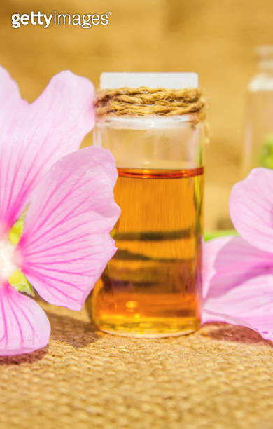 A small bottle of essential oil of mallow herbal tincture, tincture ...