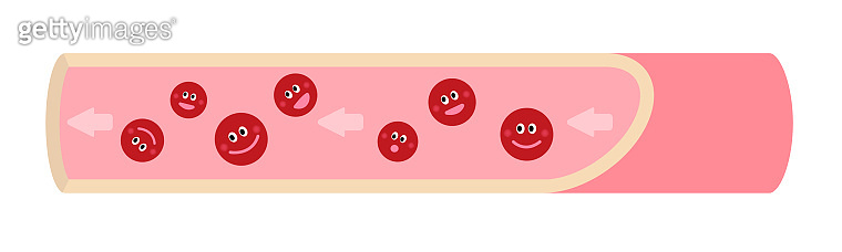 Cartoon illustration of healthy blood vessel (923840120) - 게티이미지뱅크