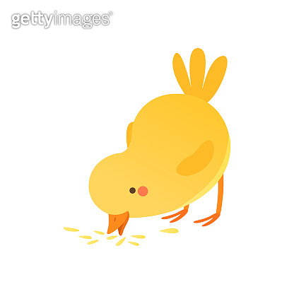 Cute baby chicken pecking grain, funny cartoon bird character vector ...