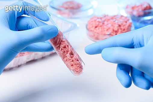Meat sample in test tube 이미지 (933480404) - 게티이미지뱅크