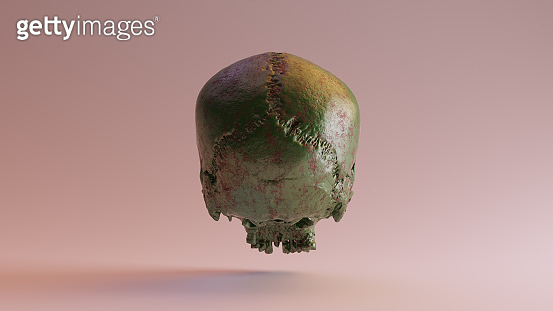 Green Painted Rusty Skull 이미지 (901296736) - 게티이미지뱅크