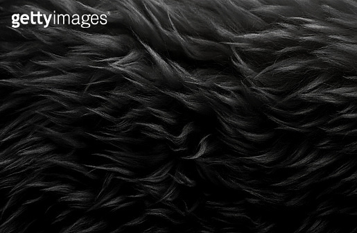 Black and white fluffy wool texture, dark natural wool background, fur ...