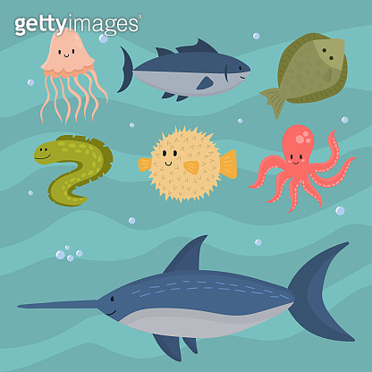Sea animals vector creatures characters cartoon ocean wildlife marine ...