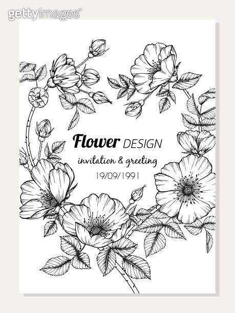 Rose flower frame drawing illustration for invitation and greeting card ...