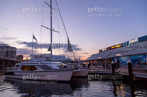 Darling Harbour district area with people 이미지 (1071202324) - 게티이미지뱅크