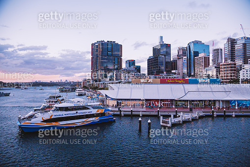 Darling Harbour district area with people 이미지 (1071202458) - 게티이미지뱅크