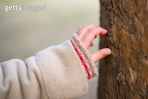 Hand of a child touching a tree 이미지 (938379192) - 게티이미지뱅크