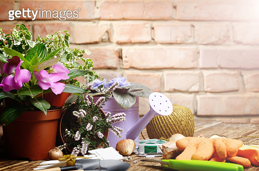 Gardening tools of shovel rake labels and watering can on wooden table ...
