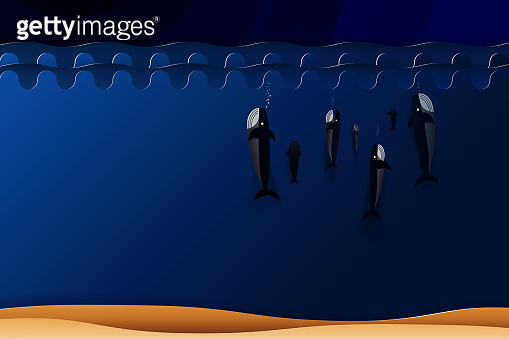 illustration of blue whale sleep in under the sea with whales group ...
