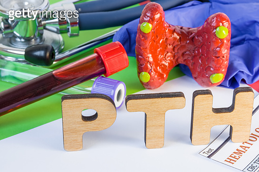 Medical laboratory abbreviation PTH or parathyroid hormone, which is ...
