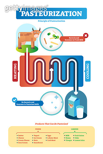 Pasteurization vector illustration. Process and products examples ...