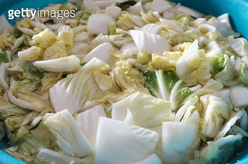 Salted Chinese cabbage. Kimchi in Korean traditional food. 이미지 ...