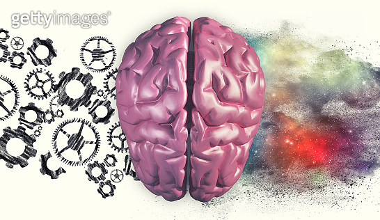 Right and left hemisphere of the brain . Creative half and logical half ...