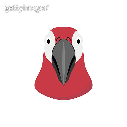 Parrot face in cartoon style for children. Animal Faces Vector ...