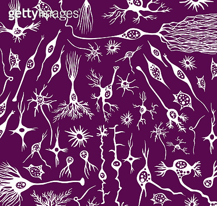 Diversity in the human brain. Illustration showing various neuron ...