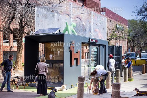 Converted shipping container used as dog shelter. 이미지 (1031960280) - 게티 ...