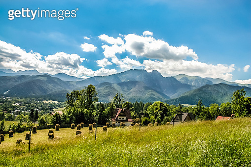 Bundles of hay in the field after harvest in the Polish mountains ...