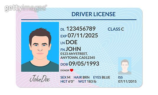 Driver license with male photo. Identification or ID card template ...