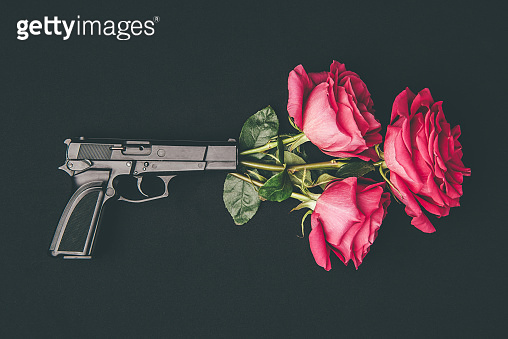 Bouquet of red roses shooting from gun isolated on black (946509526 ...