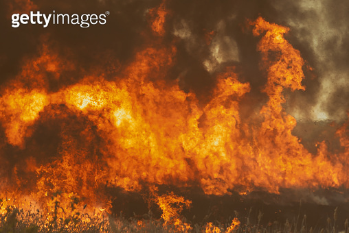 The raging flame of fire burn in the fields, forests and black thick ...