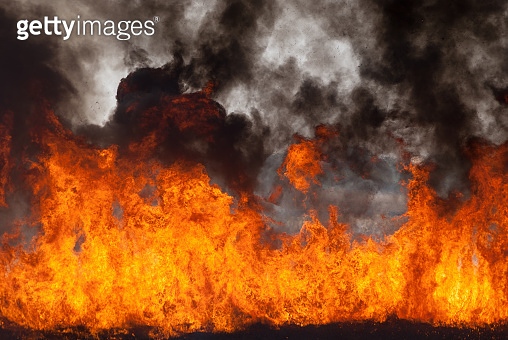 The raging flame of fire burn in the fields, forests and black thick ...