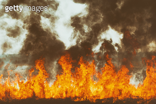 The raging flame of fire burn in the fields, forests and black thick ...