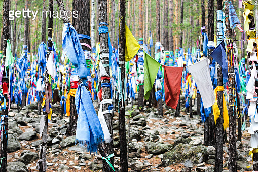 Buddhist shamanic prayer flags on ritual trees (967808122) - 게티이미지뱅크