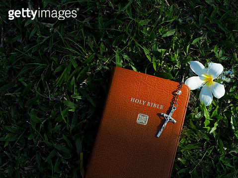 Holy Bible on grass. 이미지 (1079186014) - 게티이미지뱅크