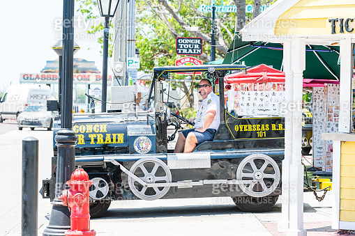 Male person, man, driver driving, riding yellow color tour bus trolley ...