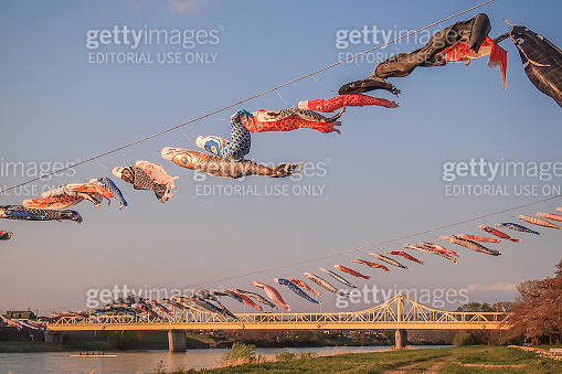 Tenshochi Park,Kitakami,Iwate,Tohoku,Japan on April 26,2018:Carp ...
