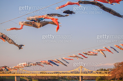 Tenshochi Park,Kitakami,Iwate,Tohoku,Japan on April 26,2018:Carp ...