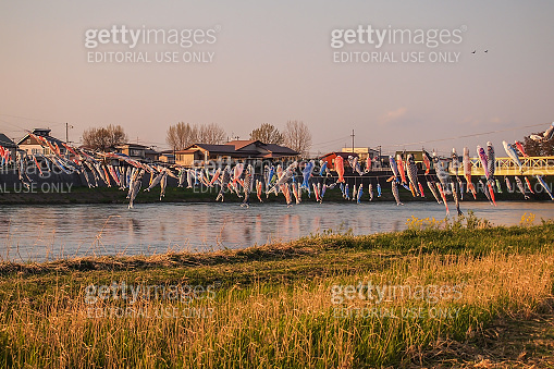 Tenshochi Park,Kitakami,Iwate,Tohoku,Japan on April 26,2018:Carp ...