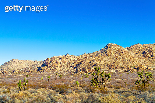 Mojave Desert landscape of Joshua trees and mountain near Palmdale ...