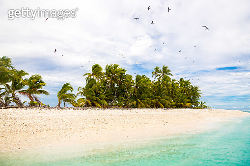 Small remote tropical island motu overgrown with palms. Sandy beach ...