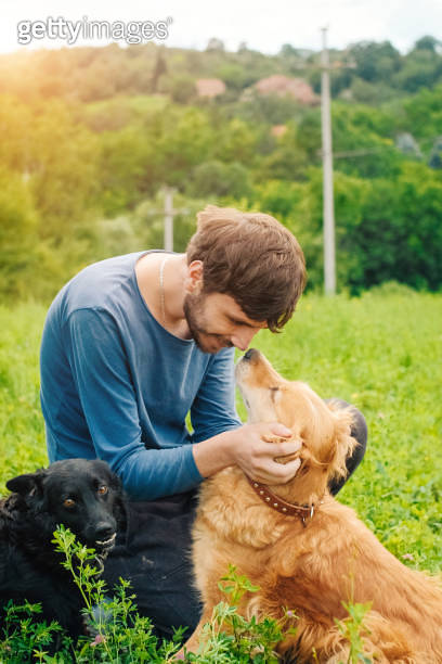 Guy and his dog, golden retriever, nature 이미지 (986075686) - 게티이미지뱅크