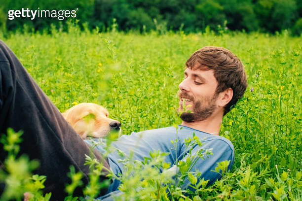 Guy and his dog, golden retriever, nature 이미지 (986075676) - 게티이미지뱅크
