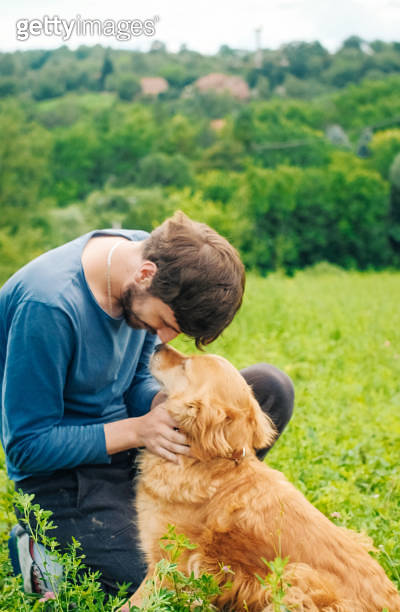 Guy and his dog, golden retriever, nature 이미지 (987947068) - 게티이미지뱅크